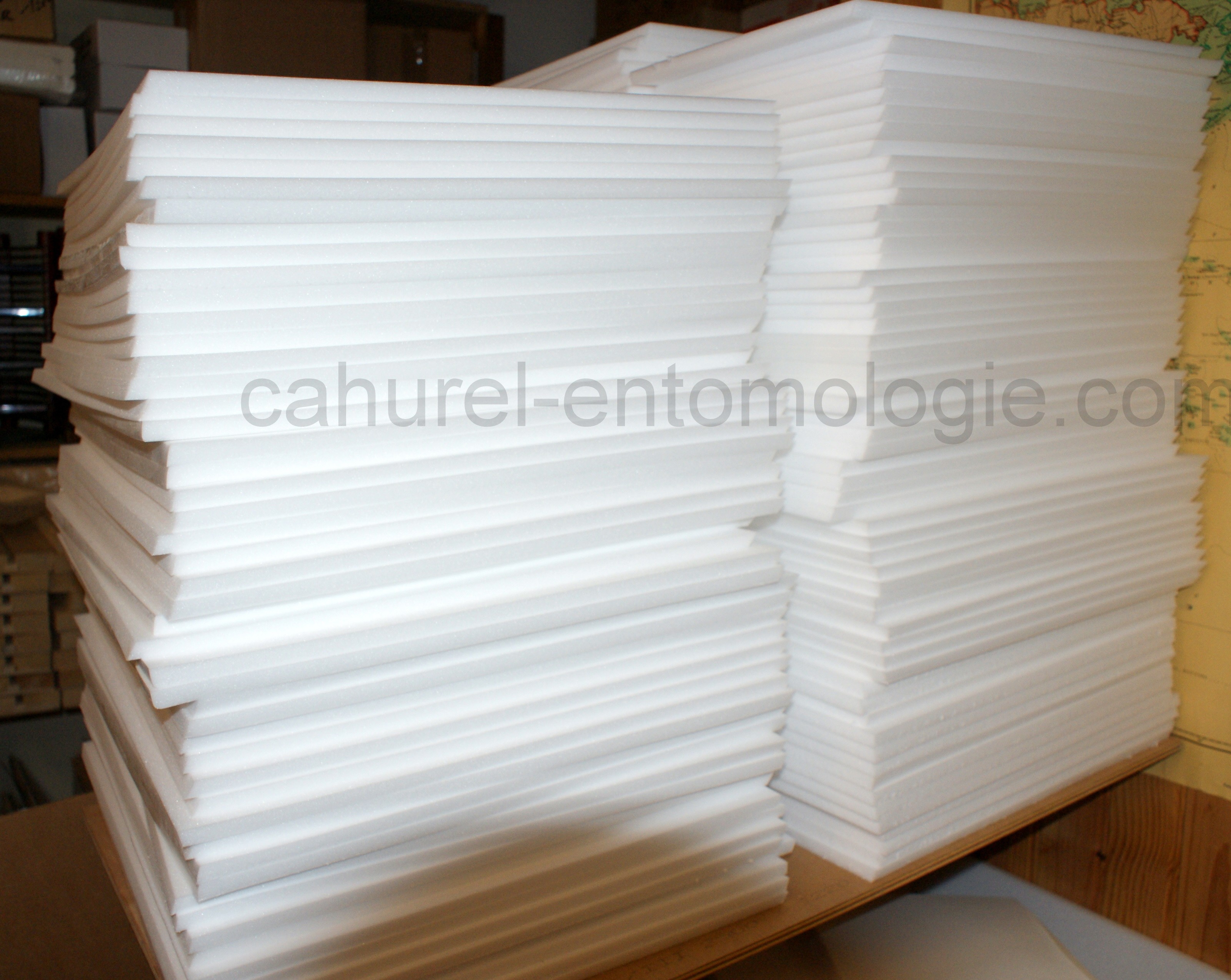 Emalène - Cahurel Entomologie